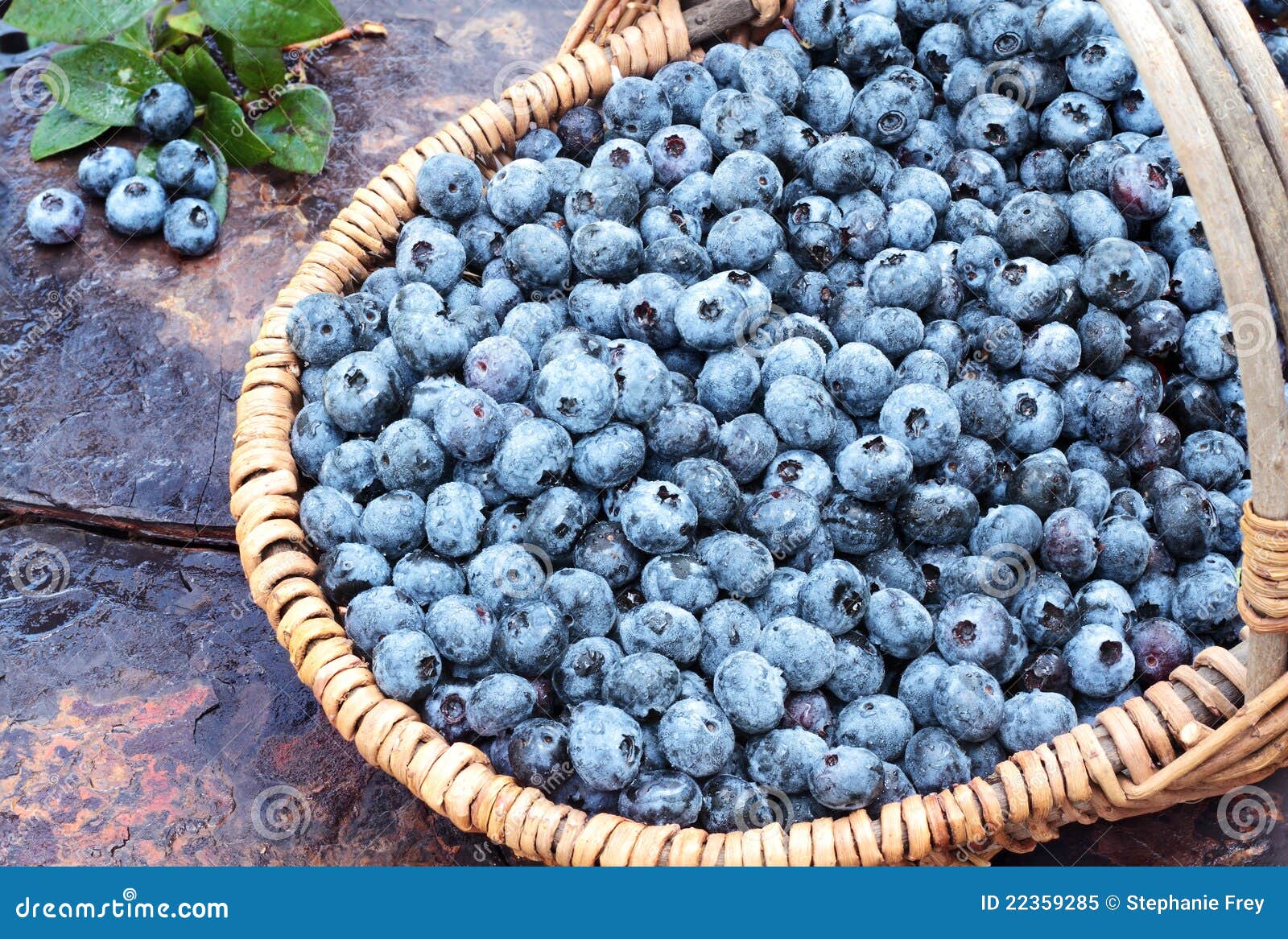 Fresh Blueberries in a Basket Stock Image - Image of healthy, basket ...