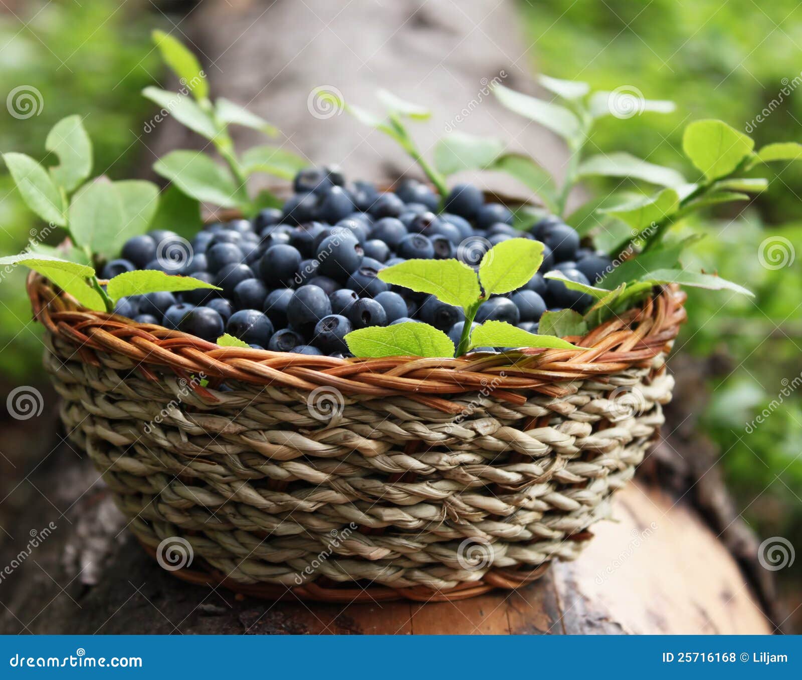 Fresh Blueberries in a Basket Stock Photo - Image of closeup, ripe ...