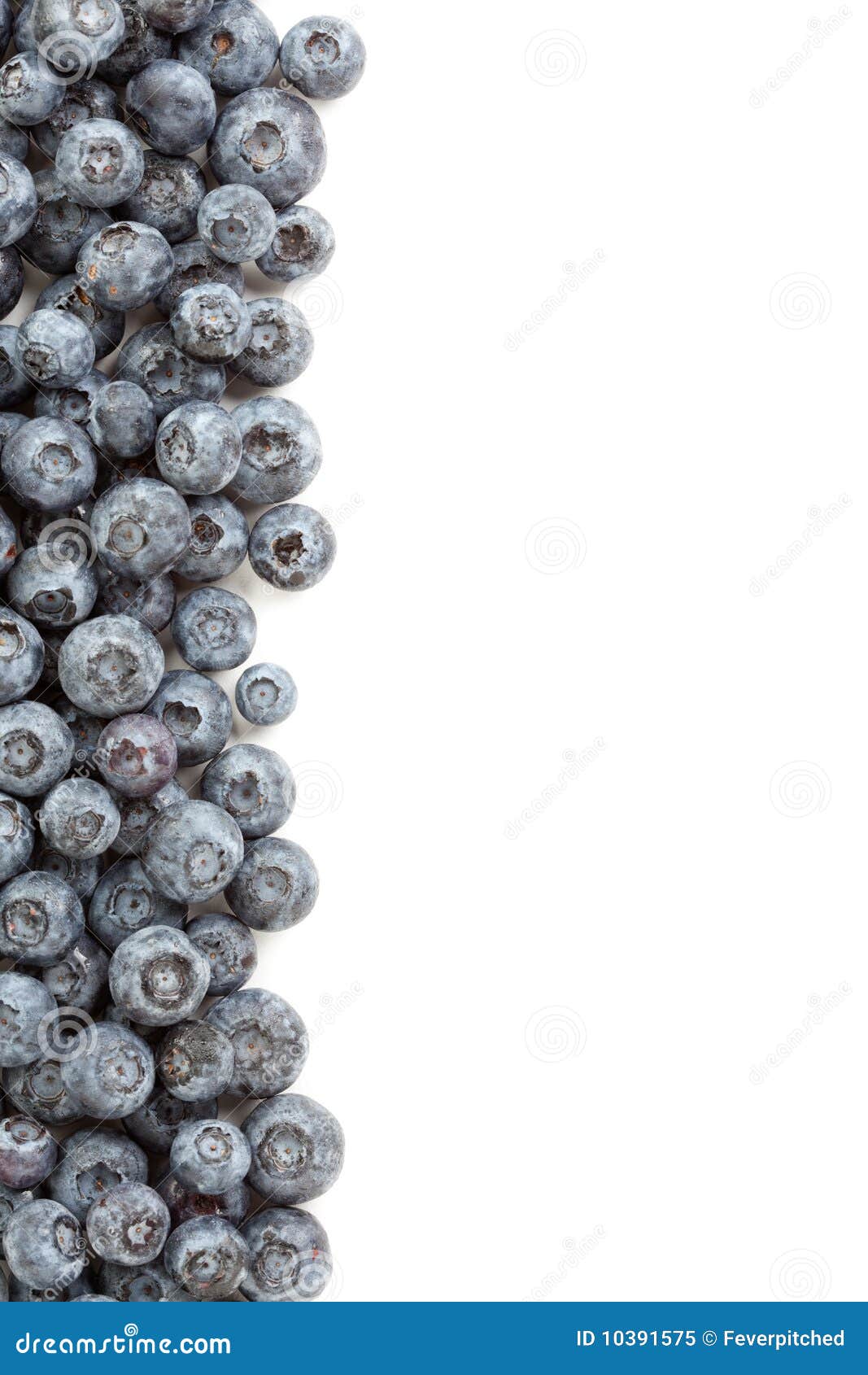 Fresh Blueberries Border stock image. Image of lots, closeup - 10391575