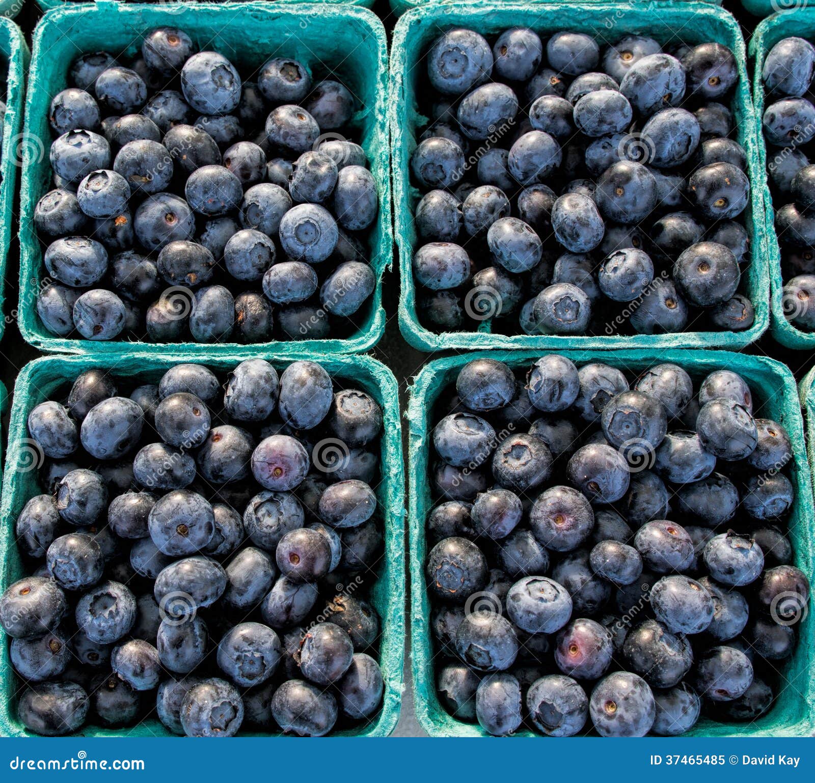 Fresh Blueberries stock image. Image of fresh, blueberries - 37465485
