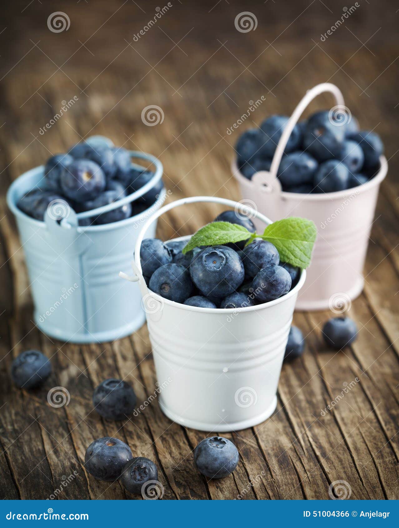 Fresh Blueberries in Bucket Stock Photo - Image of diet, sweet: 51004366