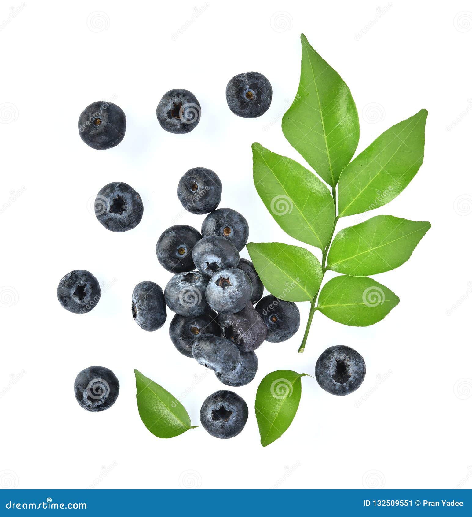 Fresh Blueberries Isolated on White Background. Top View Stock Image ...