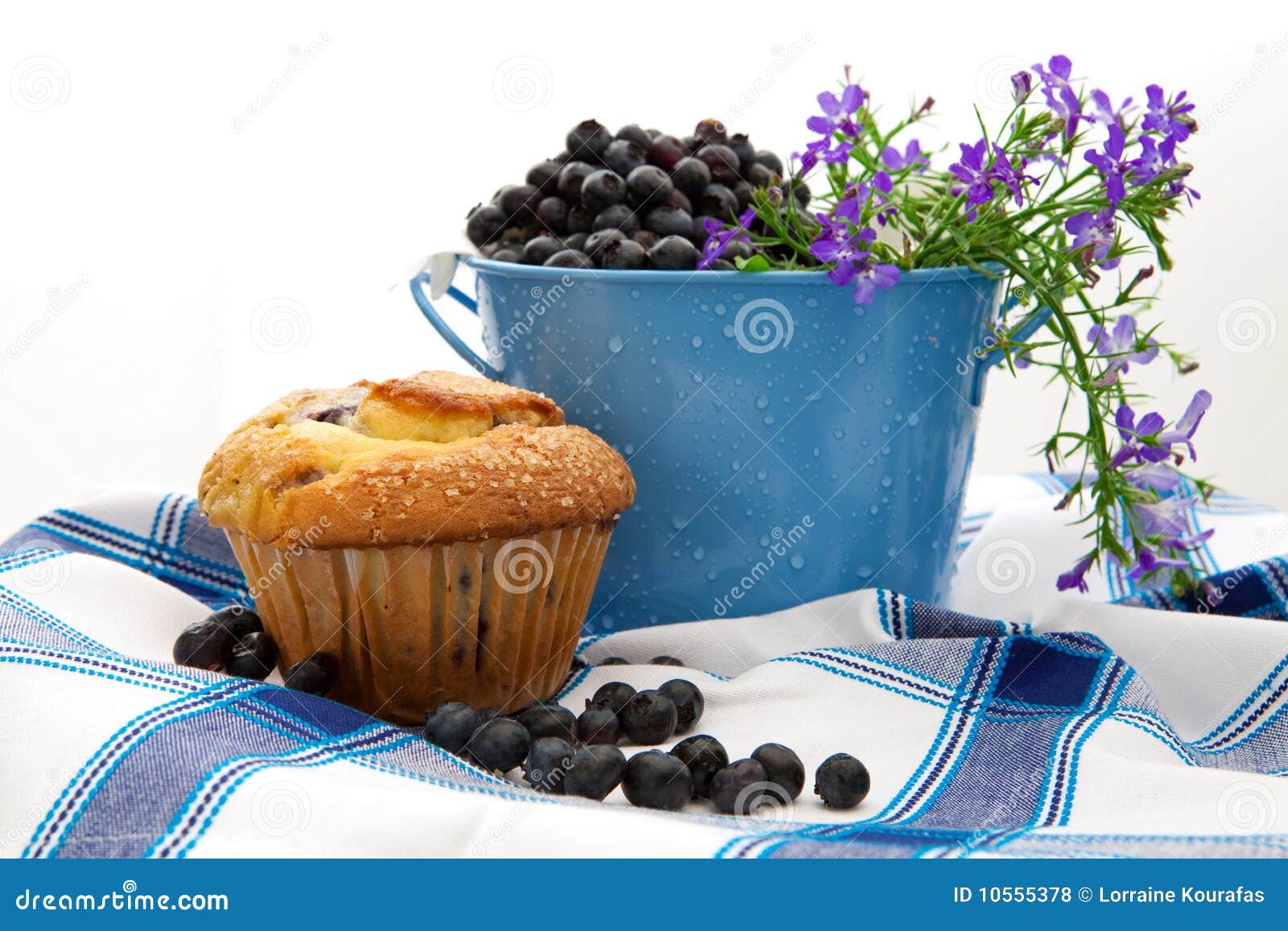Fresh Blueberries in a Pail Stock Photo - Image of item, harvest: 10555378