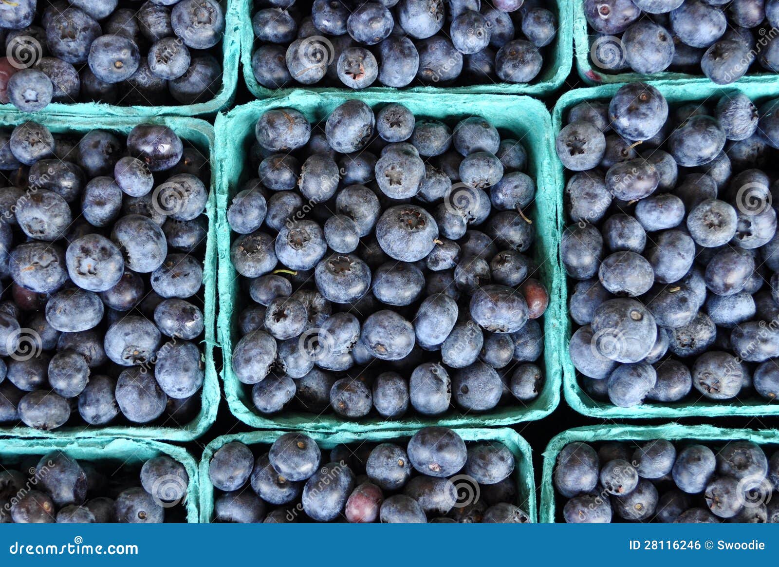 Fresh Blueberries in Pint Containers Stock Photo - Image of crop ...