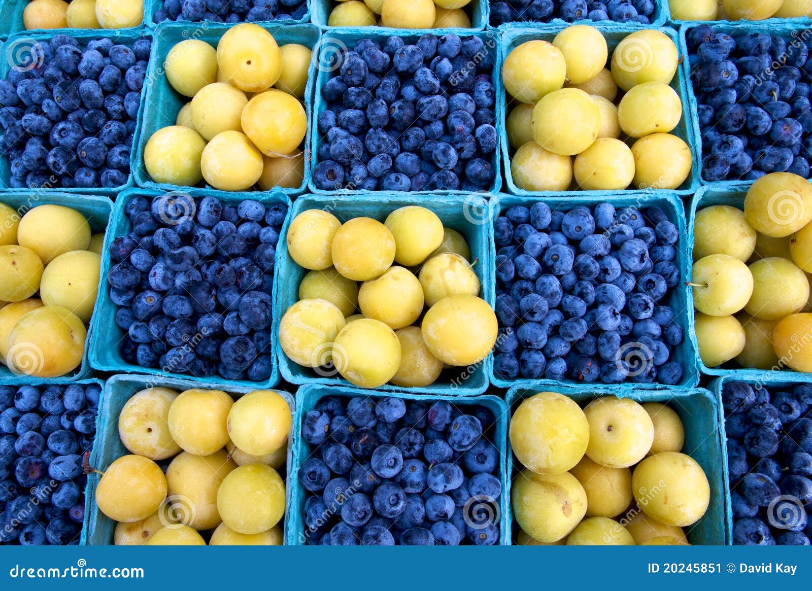 Fresh Blueberries and Plums Stock Image - Image of food, blueberry ...