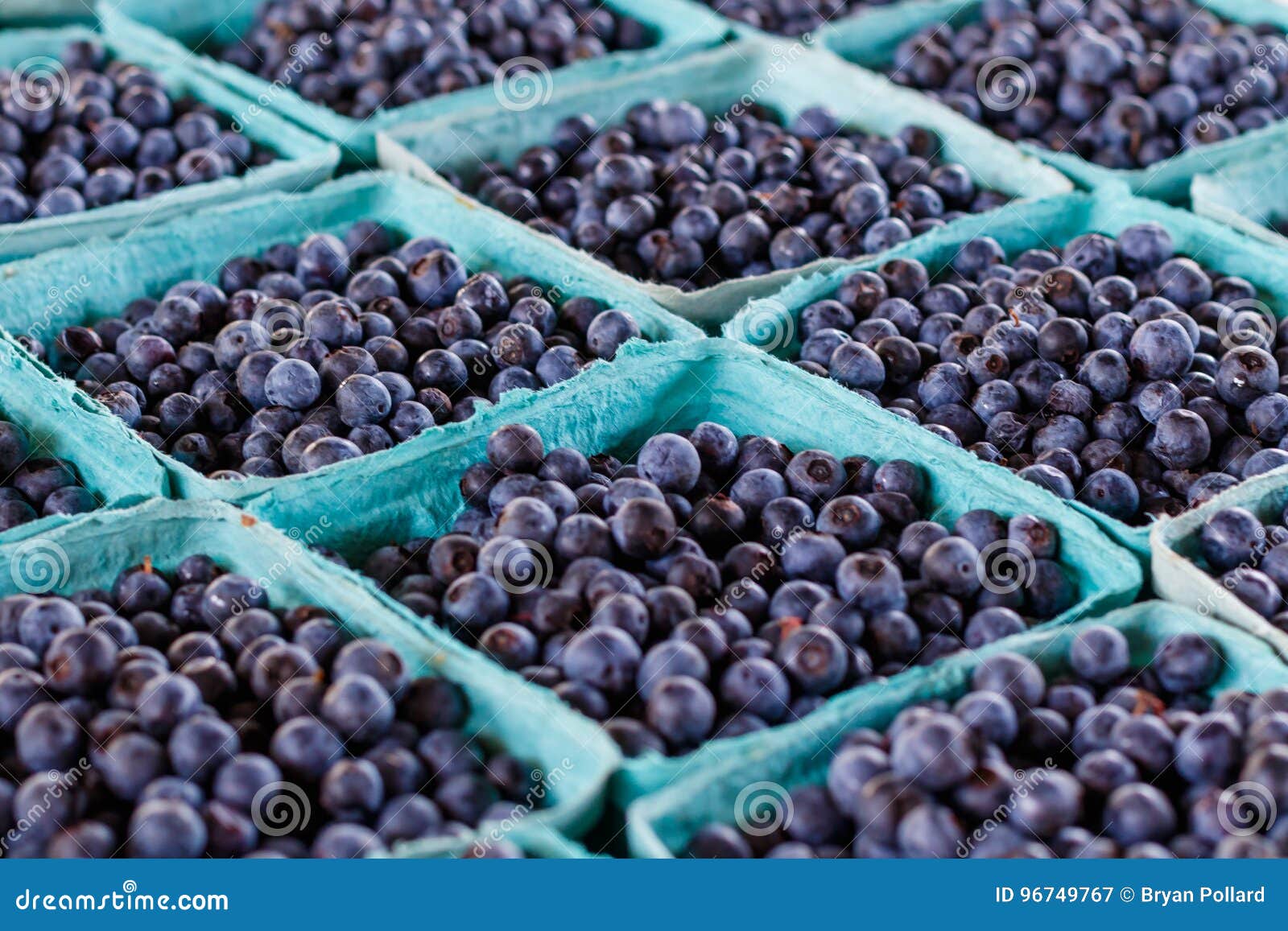 Fresh Blueberries stock image. Image of spring, juicy - 96749767