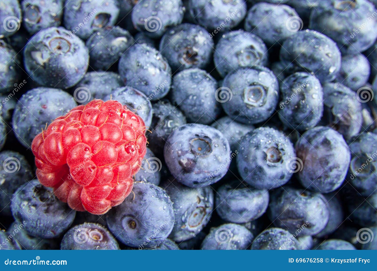 Fresh Blueberries and Raspberries Stock Photo - Image of ingredient ...