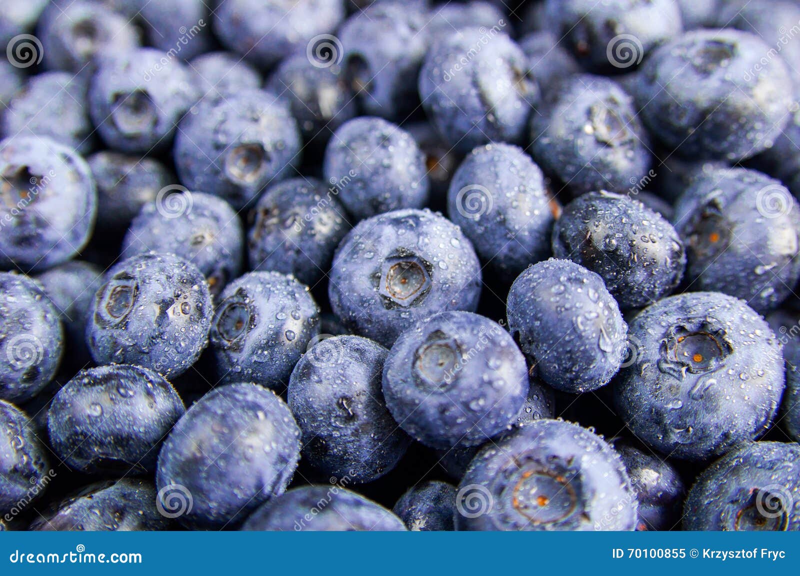 Fresh blueberries stock image. Image of drops, focus - 70100855