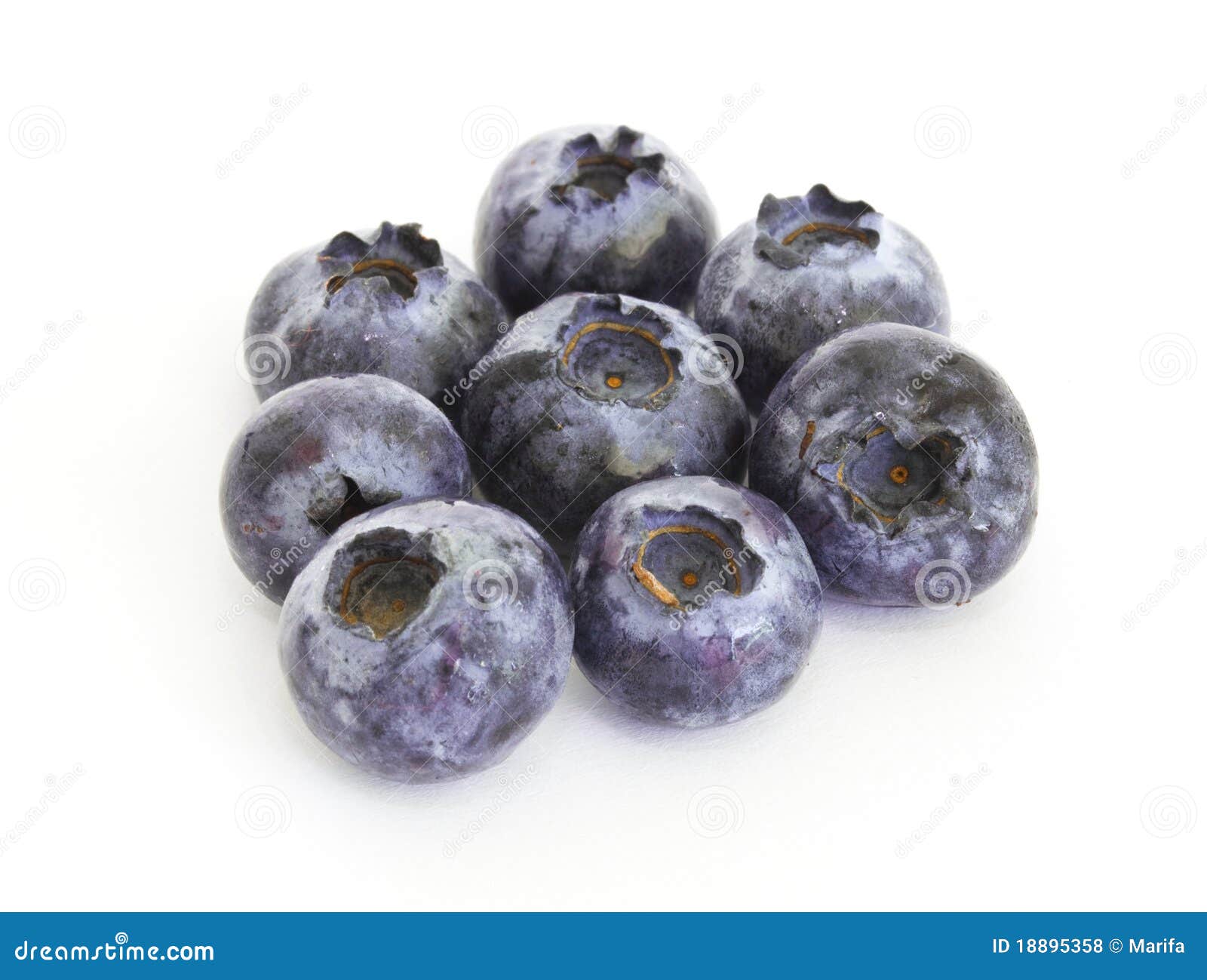 Fresh blueberry stock photo. Image of nature, summer - 18895358