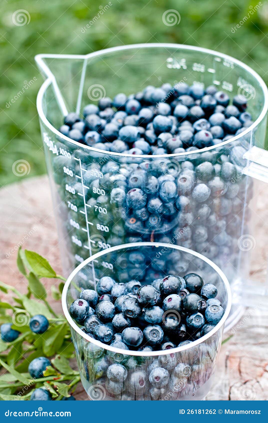 Fresh blueberry stock photo. Image of ripe, juicy, berry - 26181262