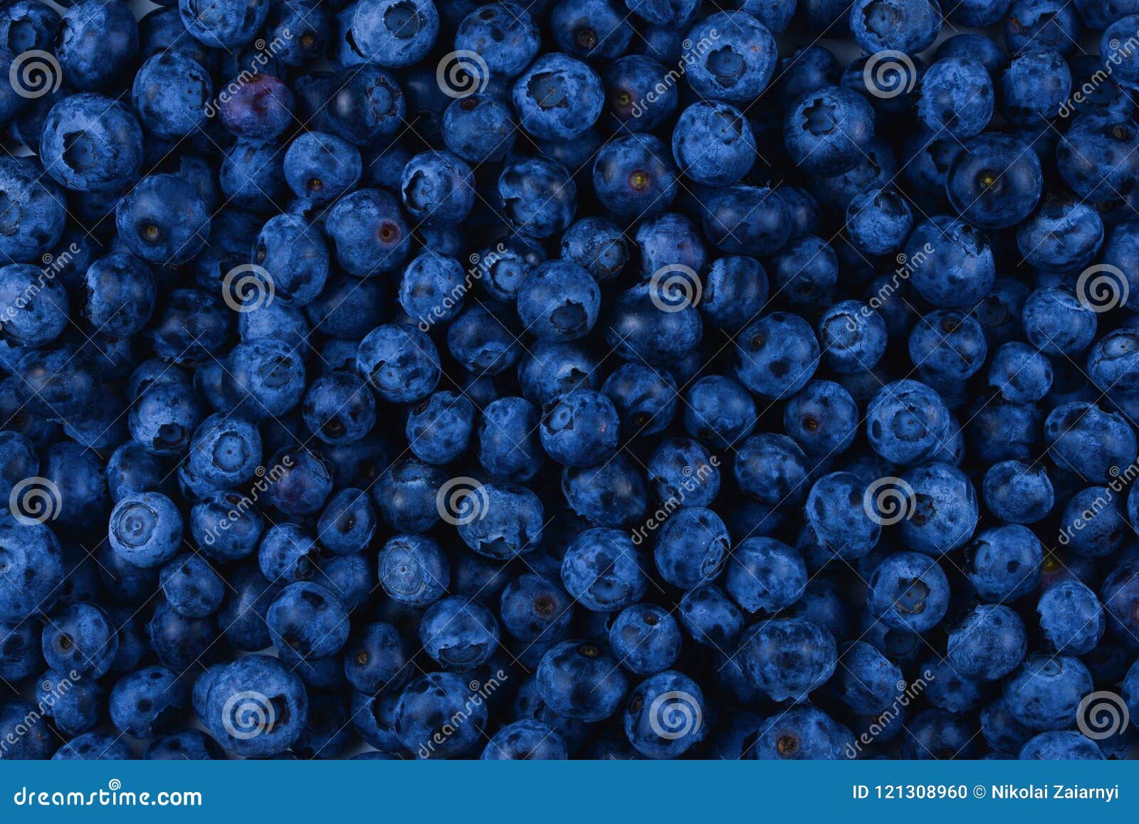 Fresh Blueberry Background. Stock Photo - Image of bilberry, group ...