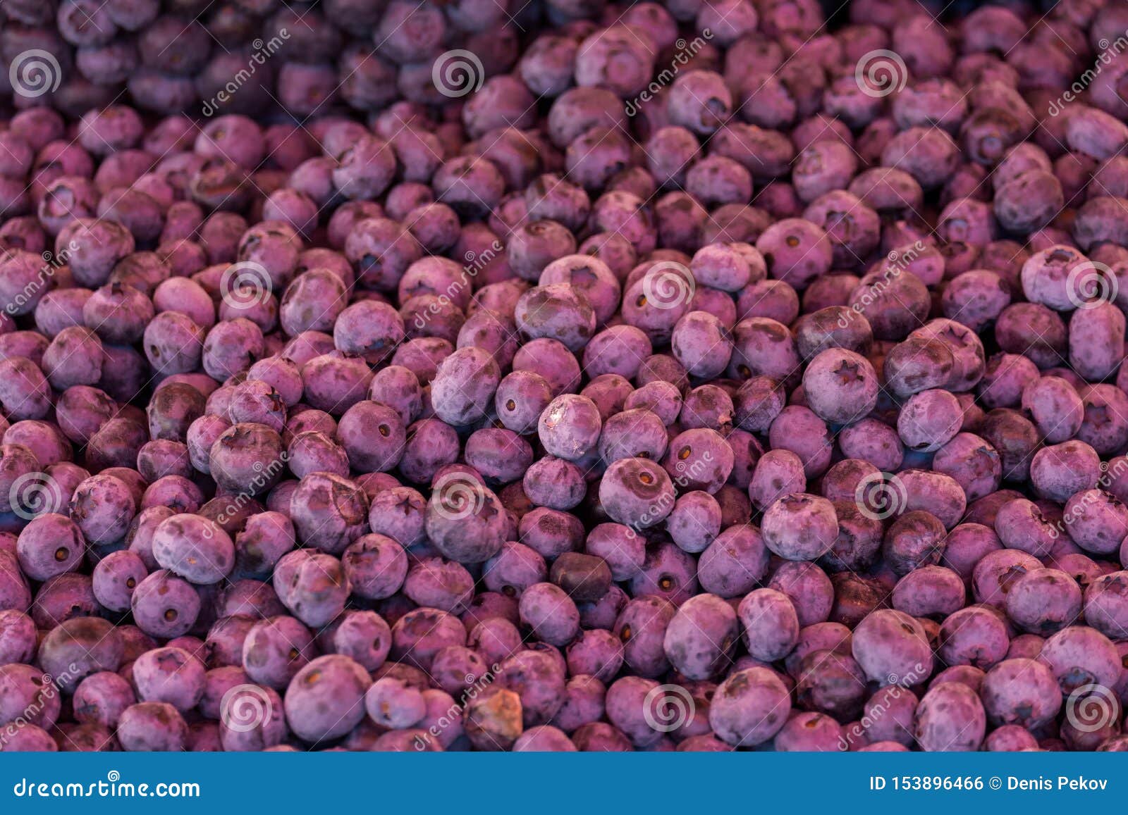Fresh Blueberry Background. Texture Blueberry Berries Close Up Stock ...