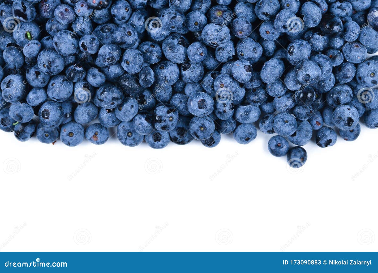 Fresh Blueberry Background. Texture Blueberry Berries Close Up Stock ...