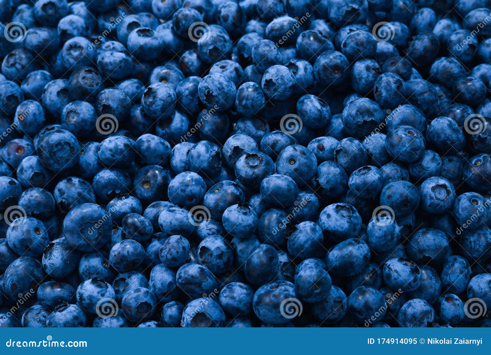 Fresh Blueberry Background. Texture Blueberry Berries Close Up Stock ...