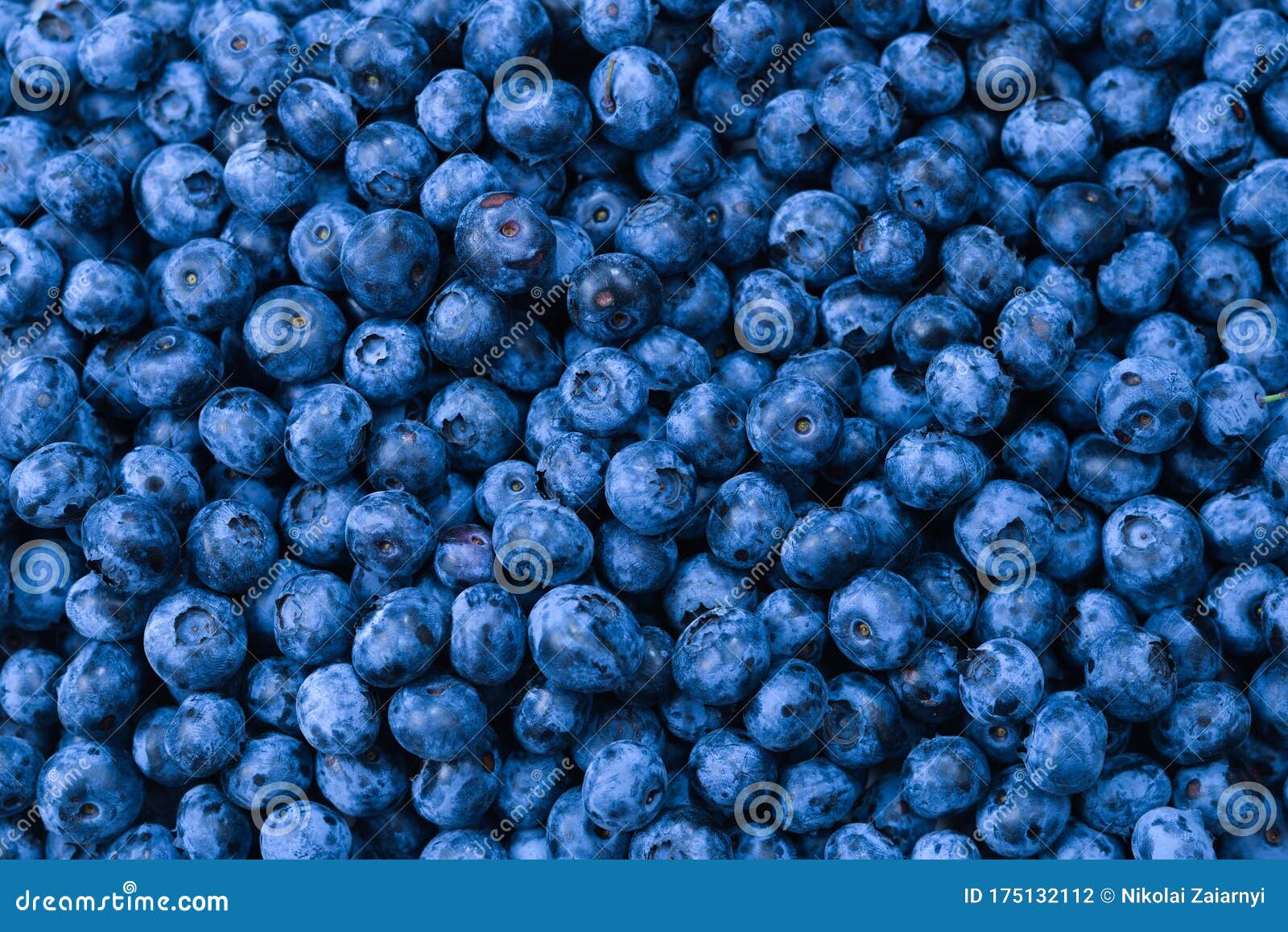 Fresh Blueberry Background. Texture Blueberry Berries Close Up Stock ...