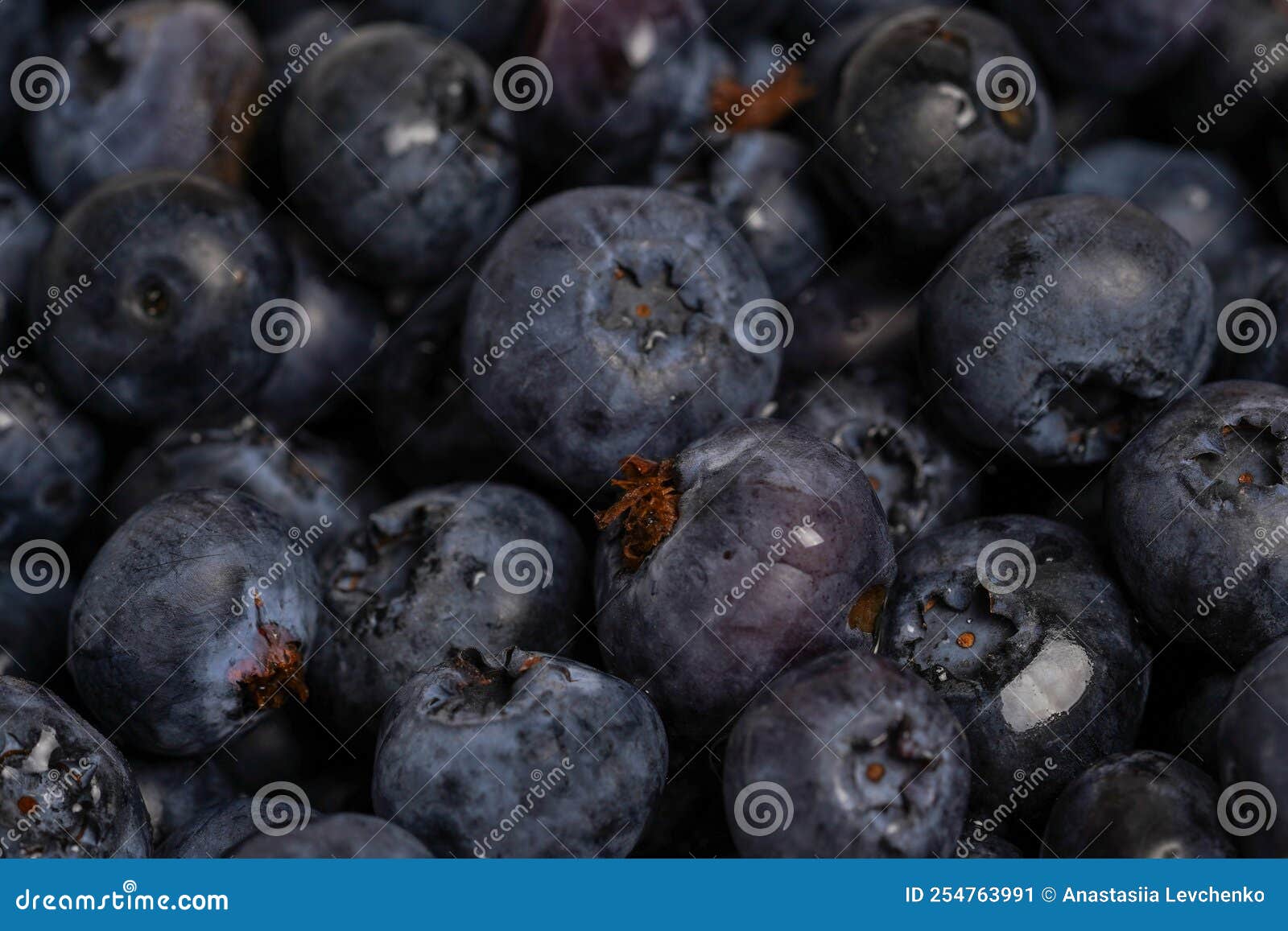 Fresh Blueberry Background. Texture Blueberry Berries Close Up Stock ...