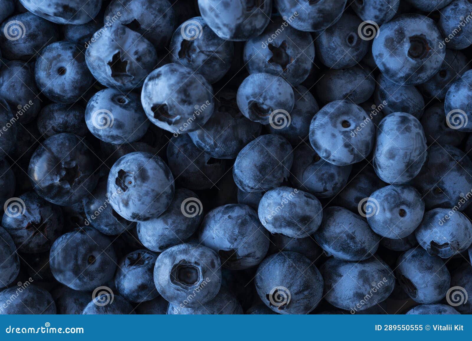 Fresh Blueberry Background. Texture Blueberry Berries Close Up Stock ...