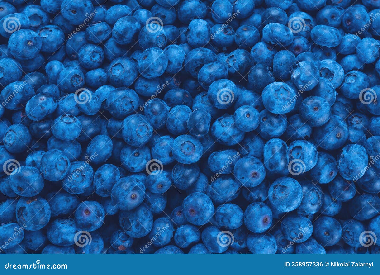 Blueberry Background Stock Image | CartoonDealer.com #42762499