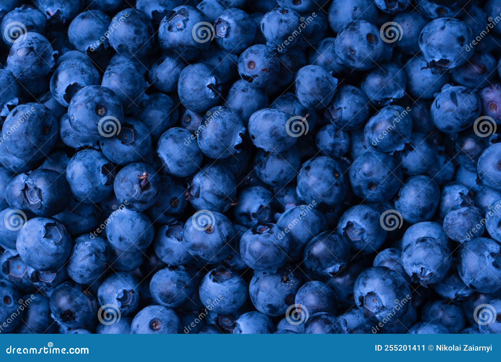 Fresh Blueberry Background. Texture Blueberry Berries Close Up Stock ...