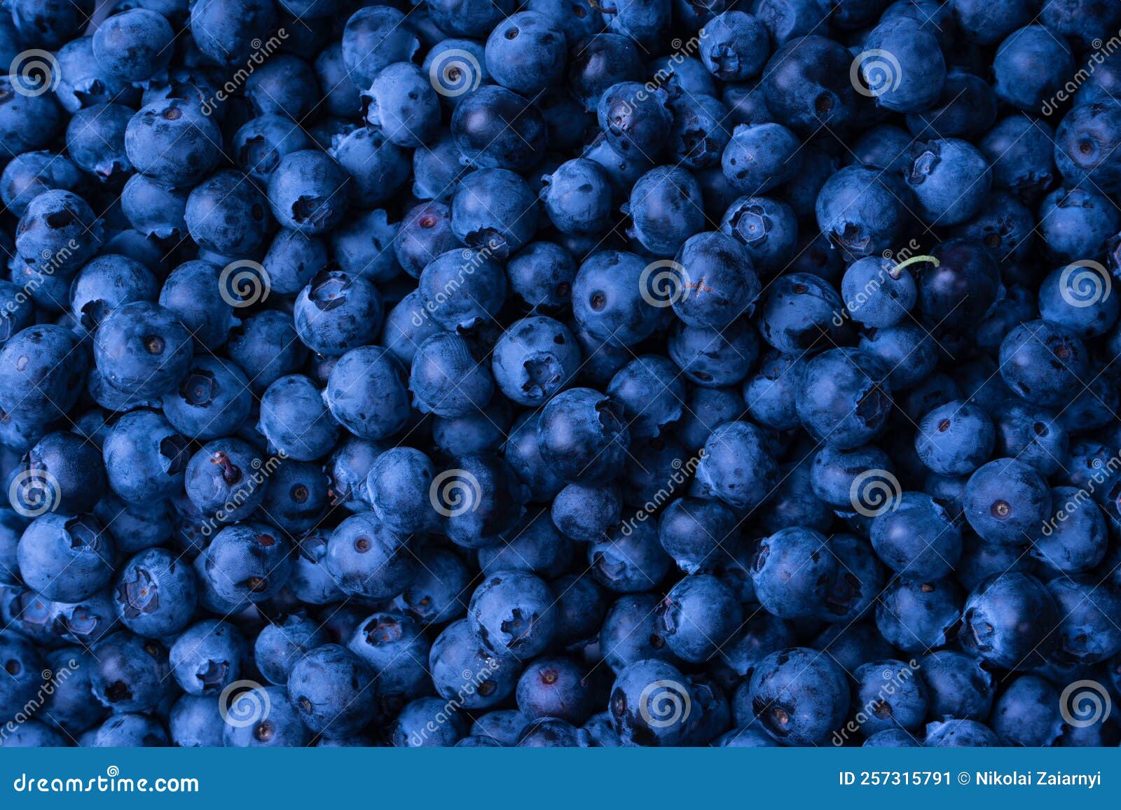 Fresh Blueberry Background. Texture Blueberry Berries Close Up Stock ...