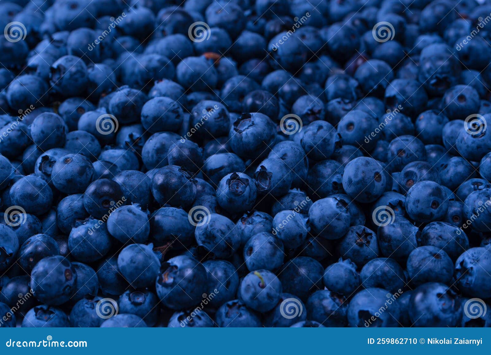 Fresh Blueberry Background. Texture Blueberry Berries Close Up Stock ...