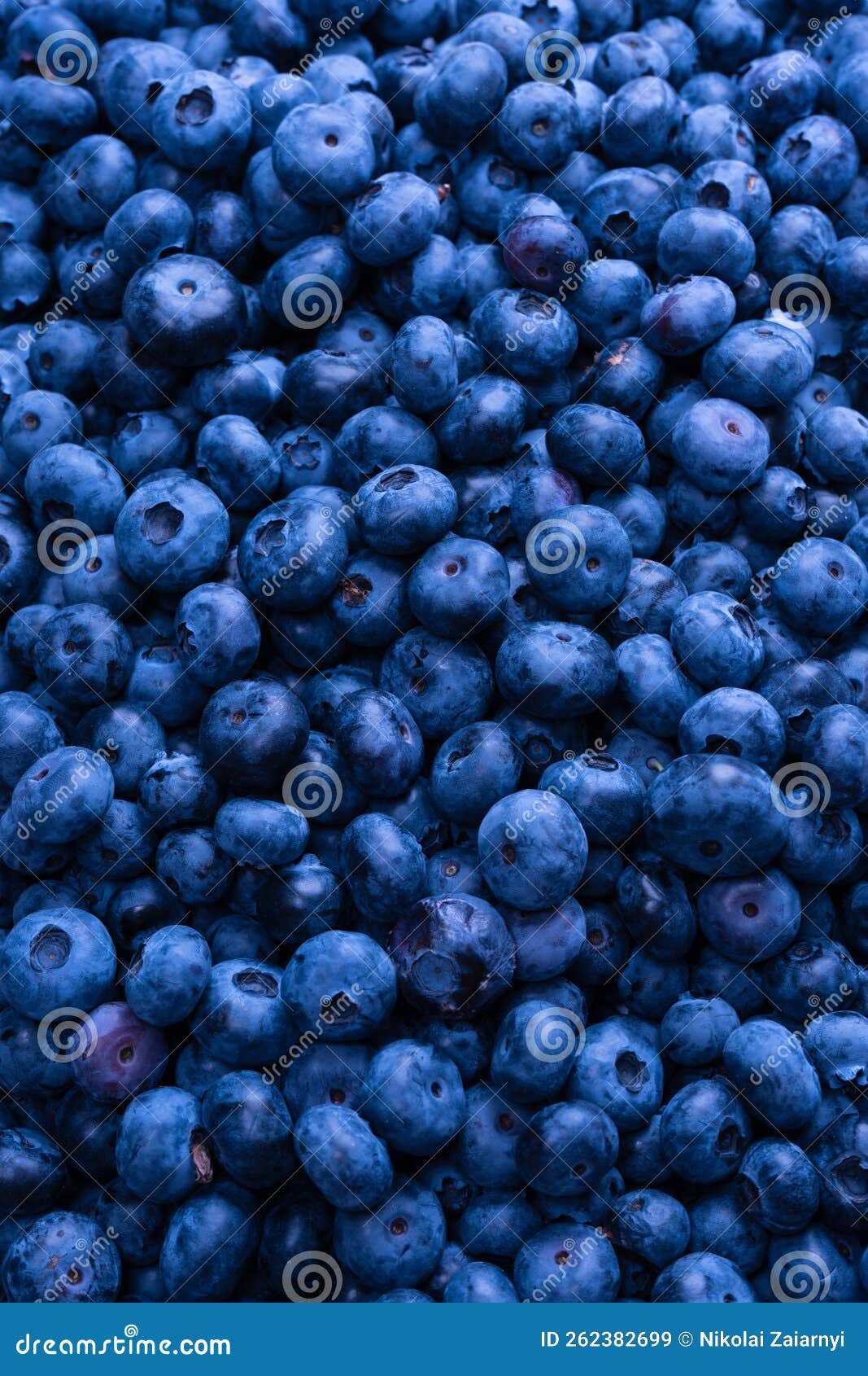 Fresh Blueberry Background. Texture Blueberry Berries Close Up Stock ...