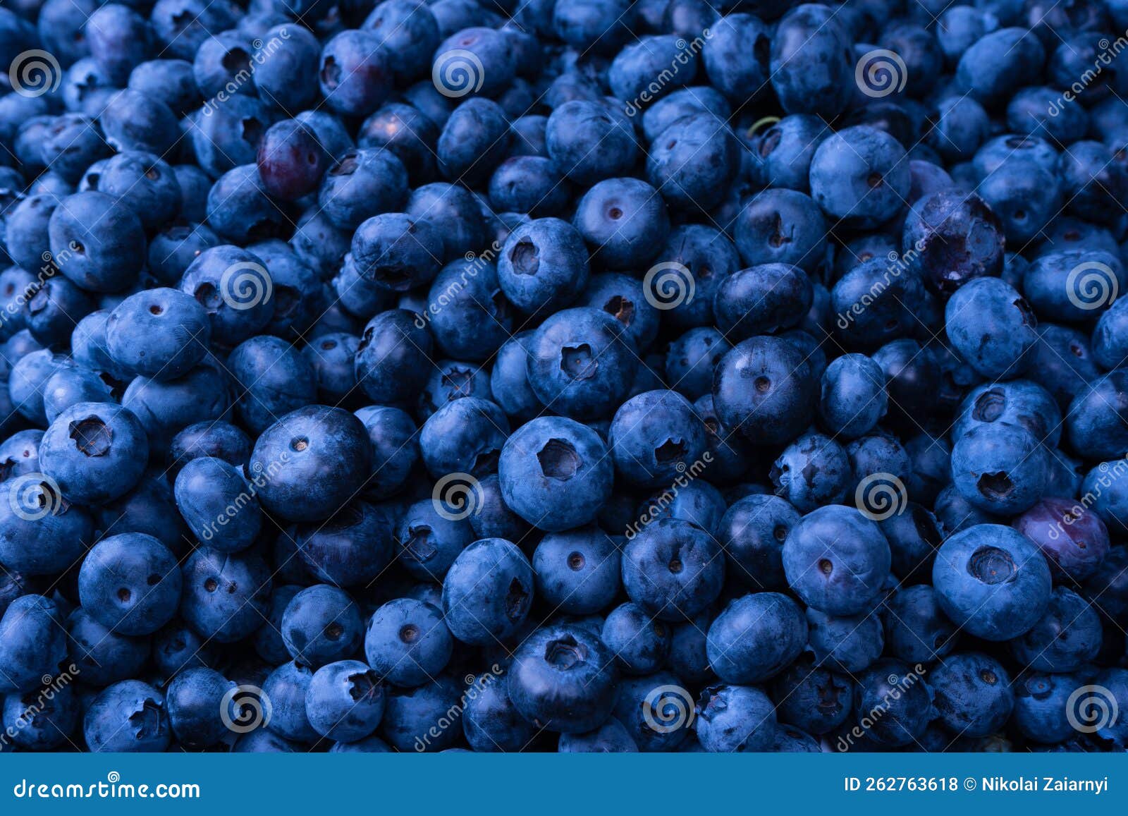 Fresh Blueberry Background. Texture Blueberry Berries Close Up Stock ...