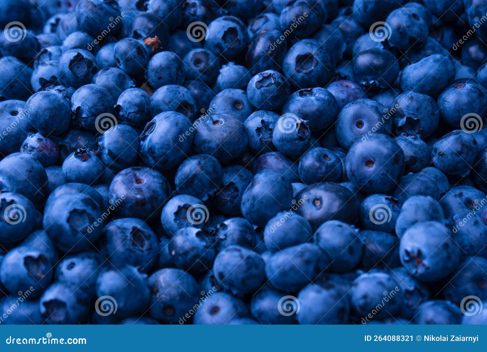 Fresh Blueberry Background. Texture Blueberry Berries Close Up Stock ...