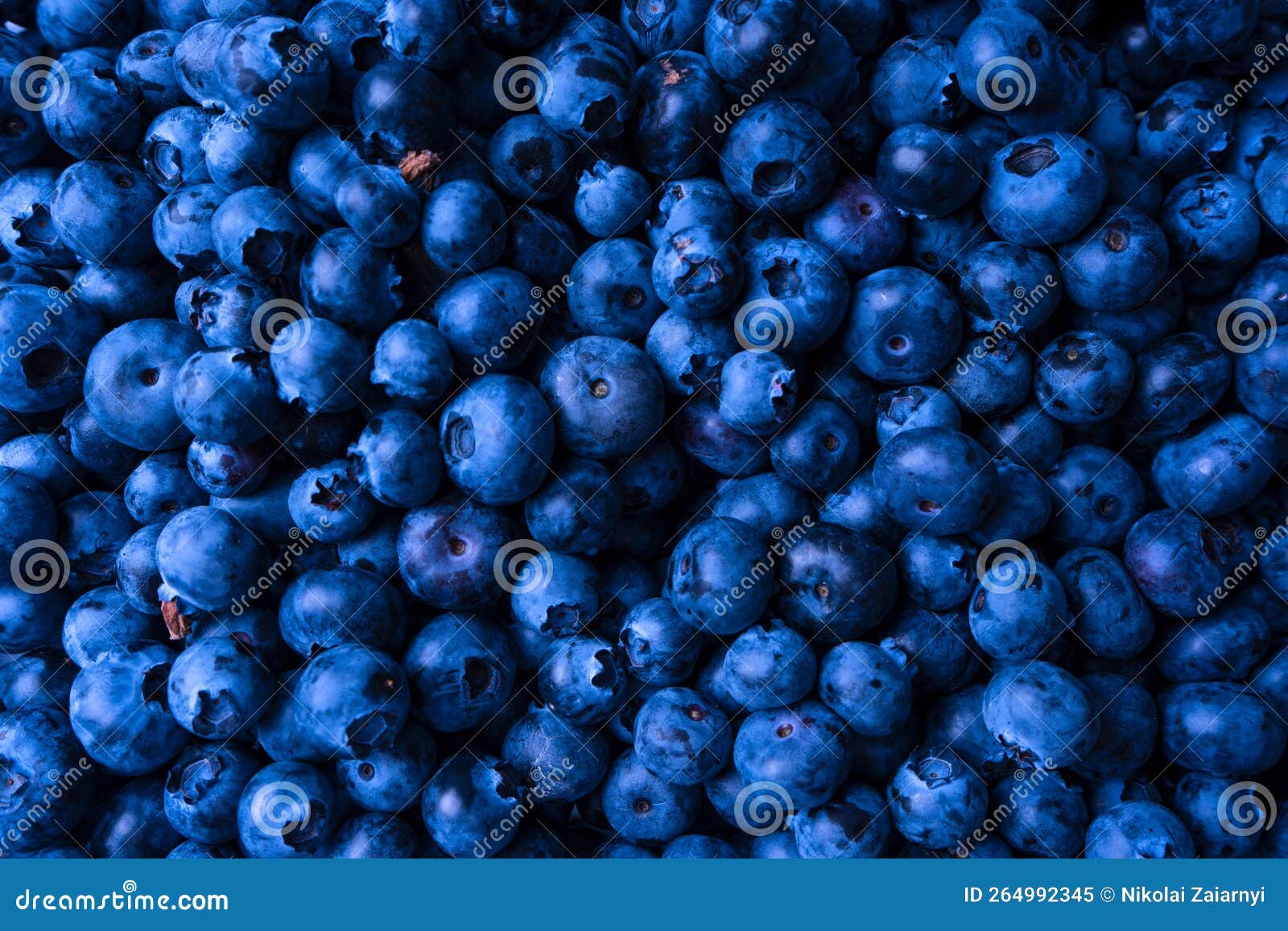 Fresh Blueberry Background. Texture Blueberry Berries Close Up Stock ...