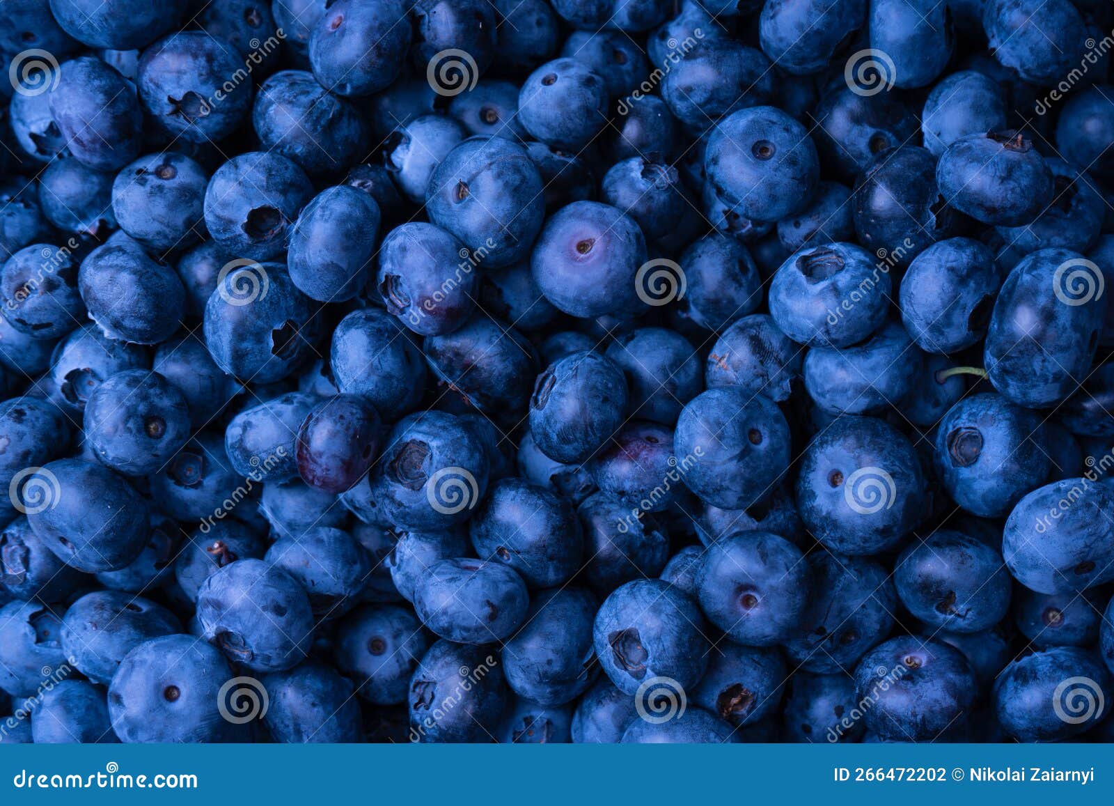 Fresh Blueberry Background. Texture Blueberry Berries Close Up Stock ...