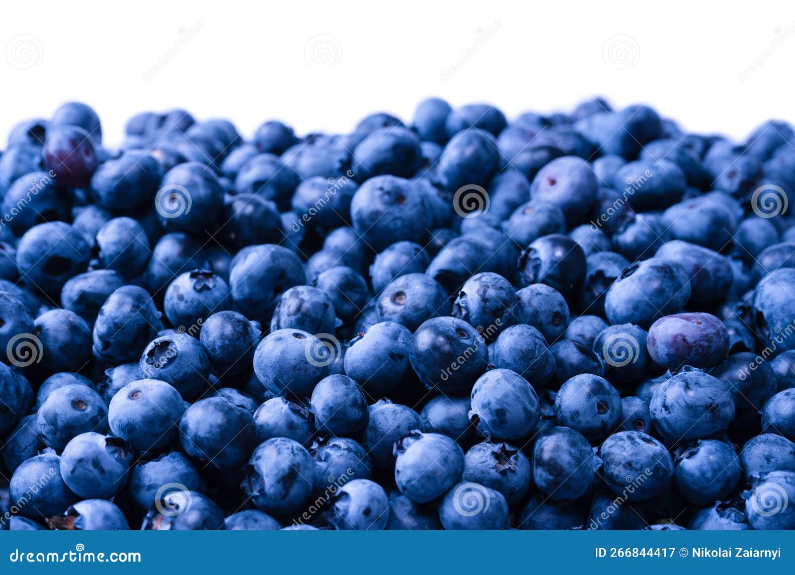 Fresh Blueberry Background. Texture Blueberry Berries Close Up Stock ...