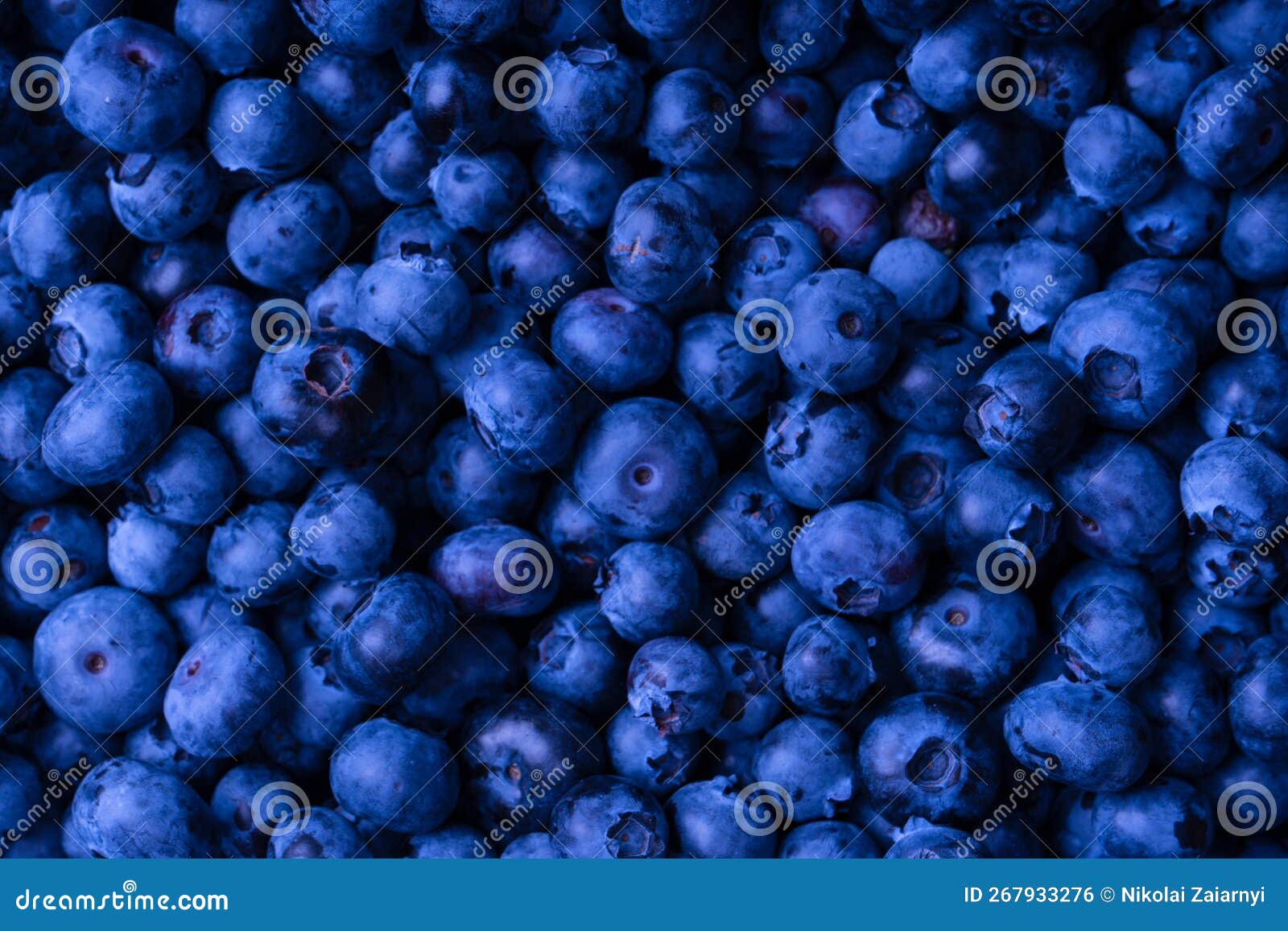 Fresh Blueberry Background. Texture Blueberry Berries Close Up Stock ...