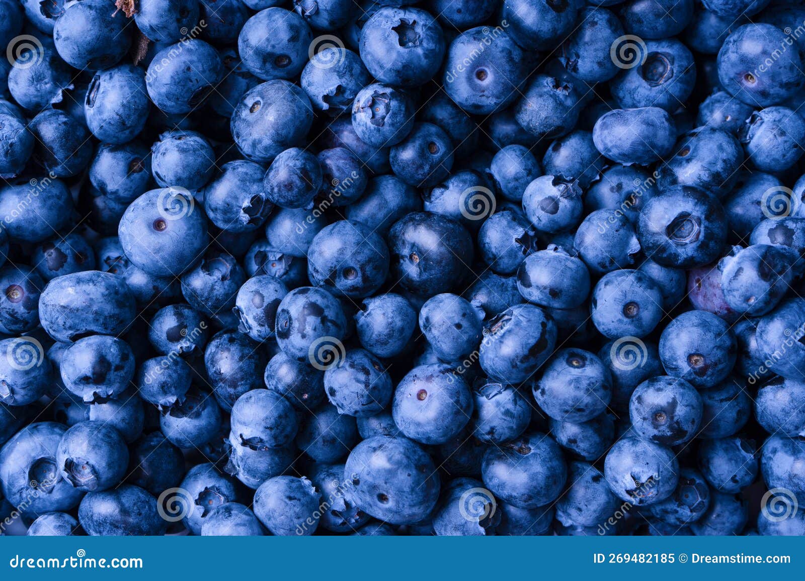 Fresh Blueberry Background. Texture Blueberry Berries Close Up Stock ...