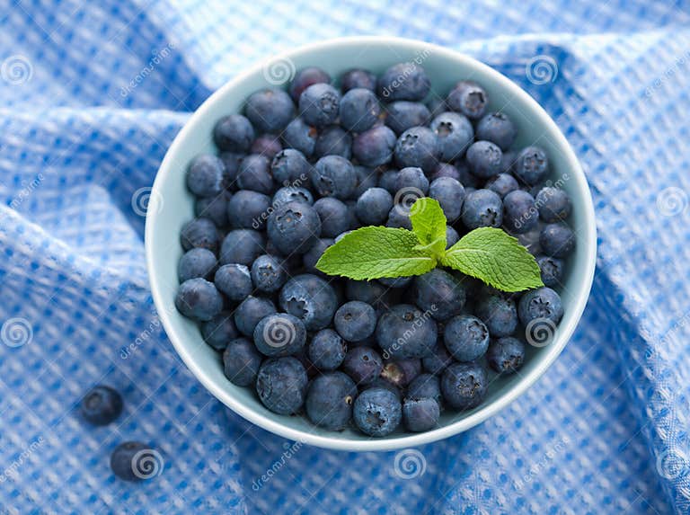 Fresh blueberry in bowl stock photo. Image of bowl, gourmet - 20333996