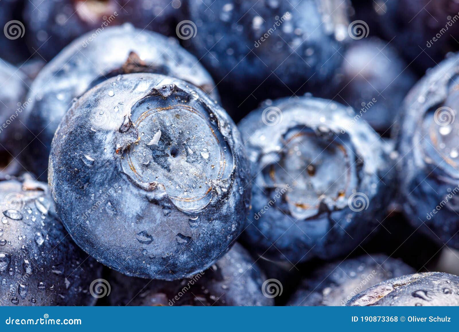 Fresh Blueberry Fruit with Water Drops, Macro Close Up Shot, Single ...