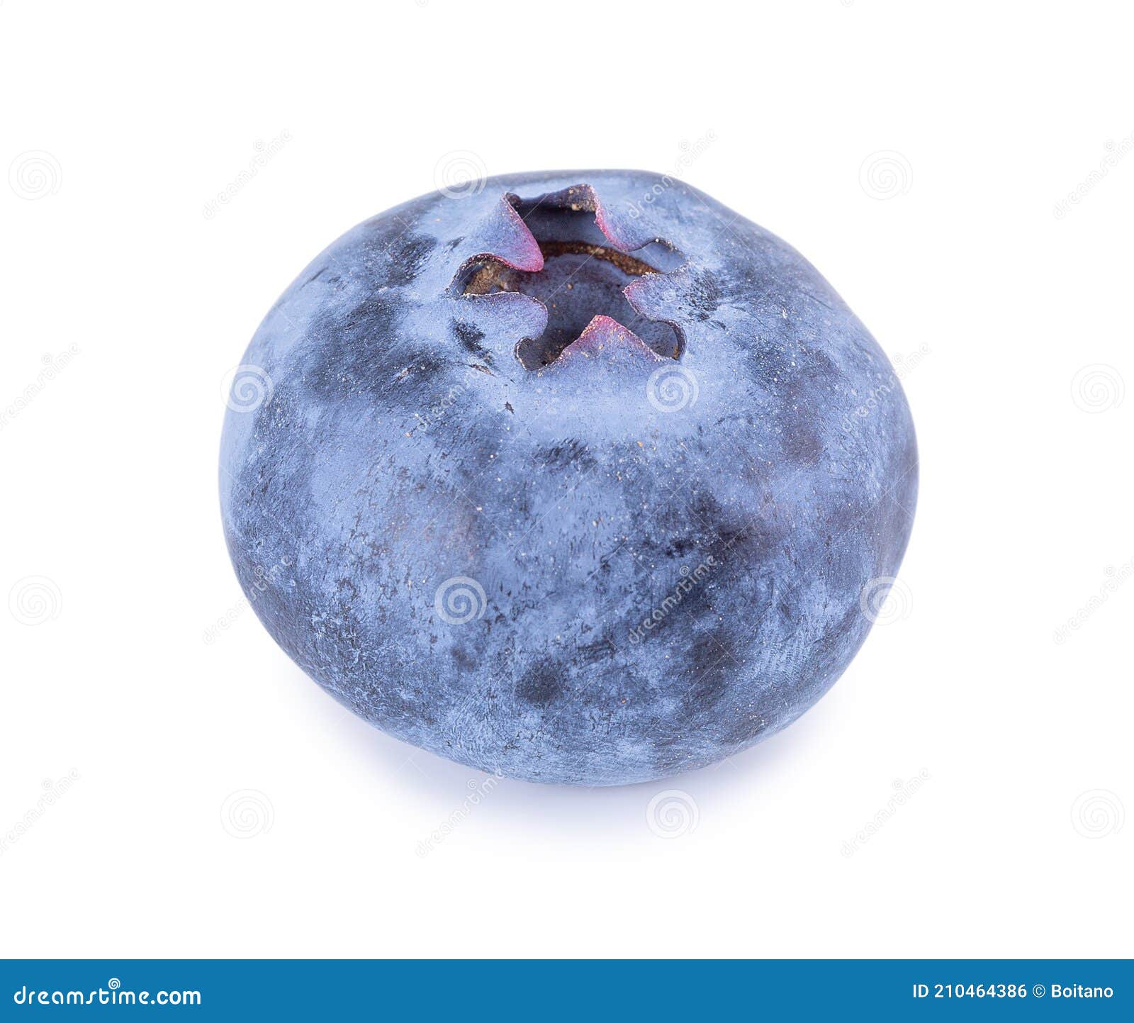 Fresh Blueberry Isolated on White Background with Shadow Reflection ...