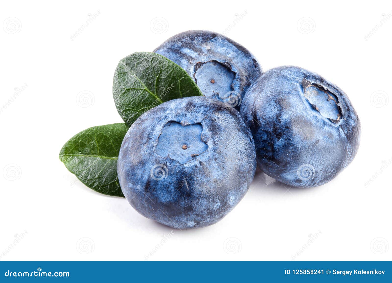 Fresh Blueberry with Leaf Isolated on White Background Stock Image ...