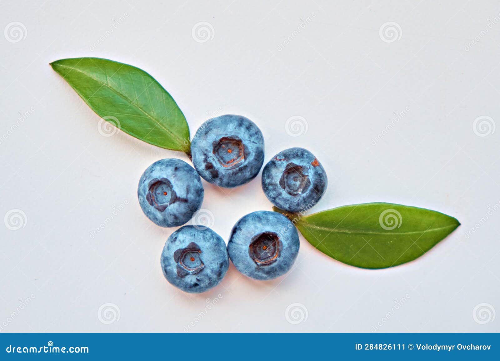 Fresh Blueberry with Leaves Isolated on White Background. View from ...
