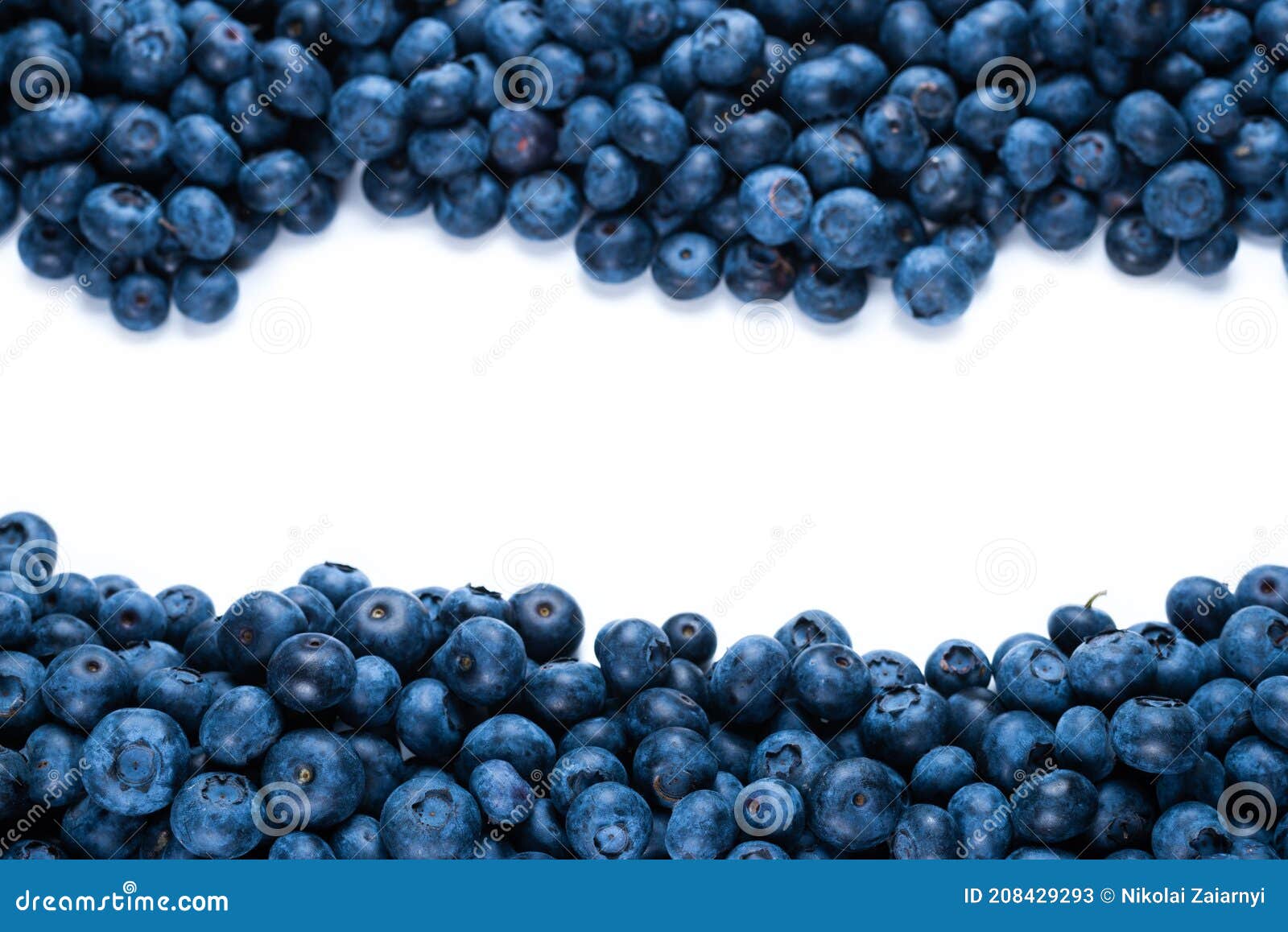 Fresh Blueberry and Mint Isolated on White Background Stock Image ...