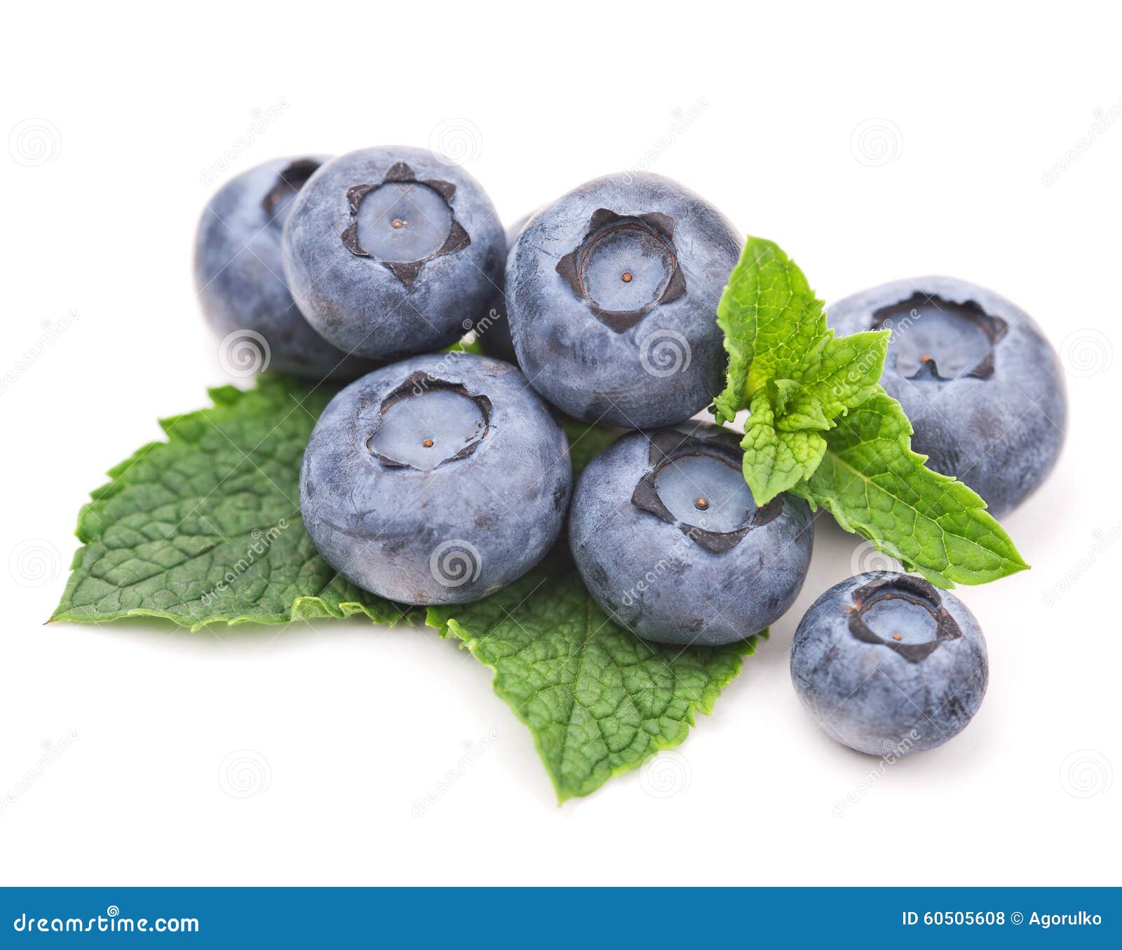 Fresh Blueberry and Mint Leaves Isolated on White Stock Photo - Image ...
