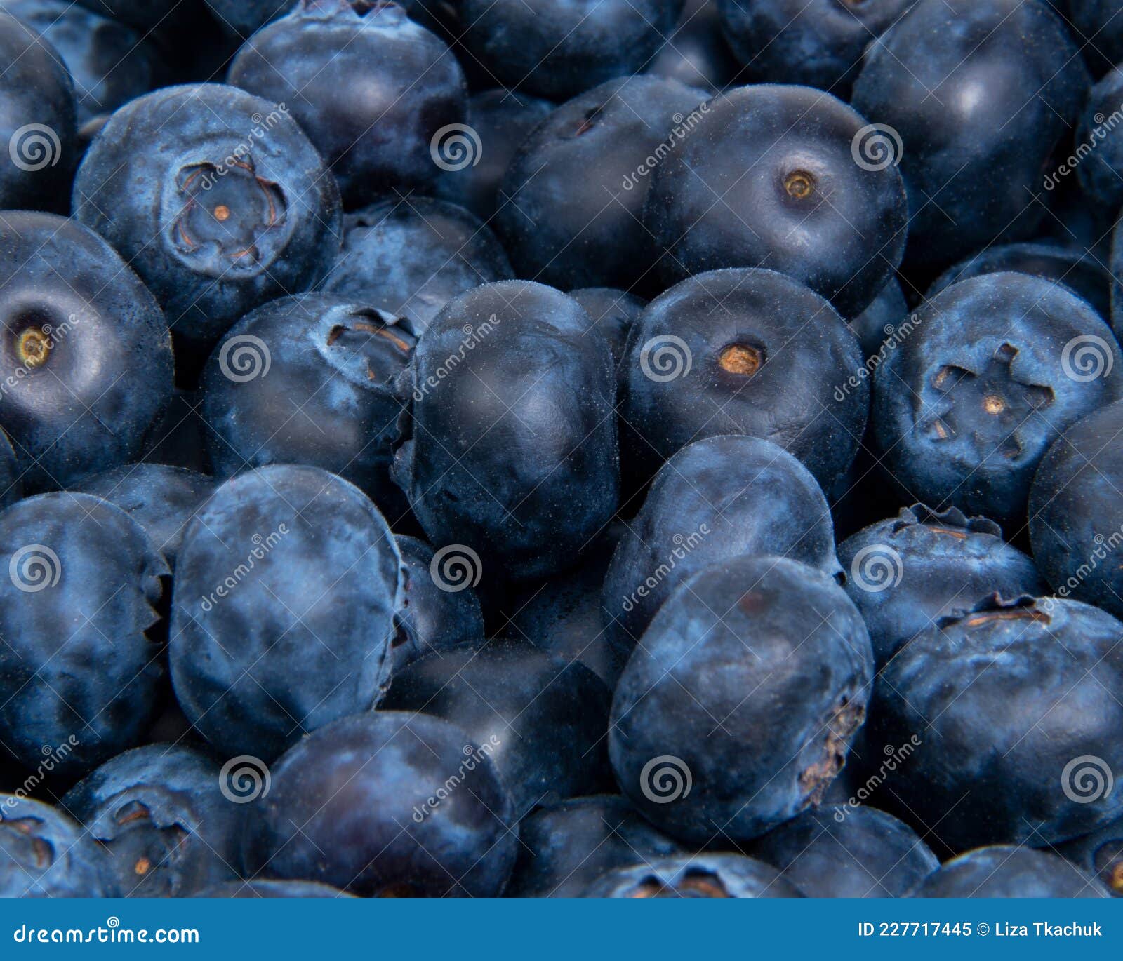 Fresh Blueberry Texture or Background Stock Image - Image of summertime ...