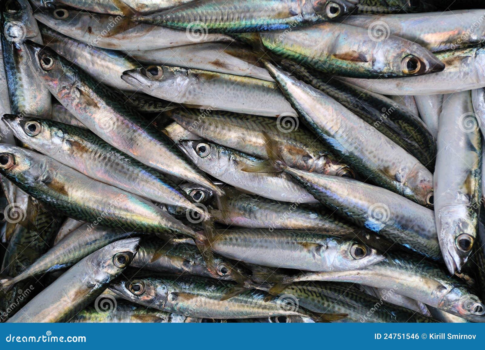 Fresh Bluefin Tuna Fish Background Stock Photo - Image of edible ...