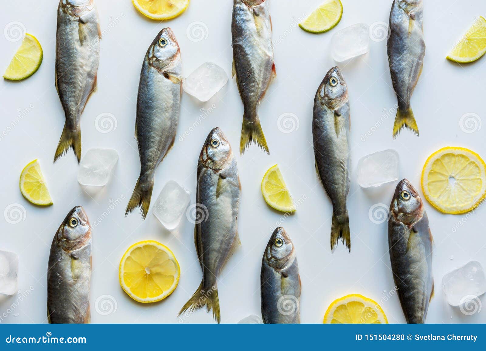 Fresh Bluefish with Lemon on White. Fish Pattern. View from Above Stock ...
