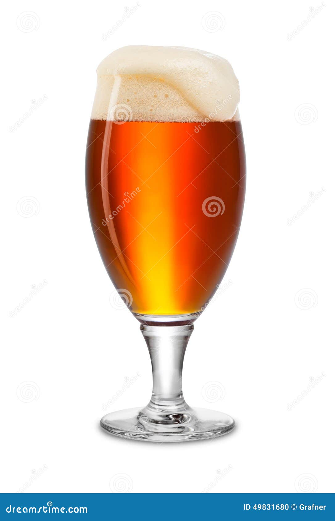 Fresh bock beer stock photo. Image of pint, beverage - 49831680