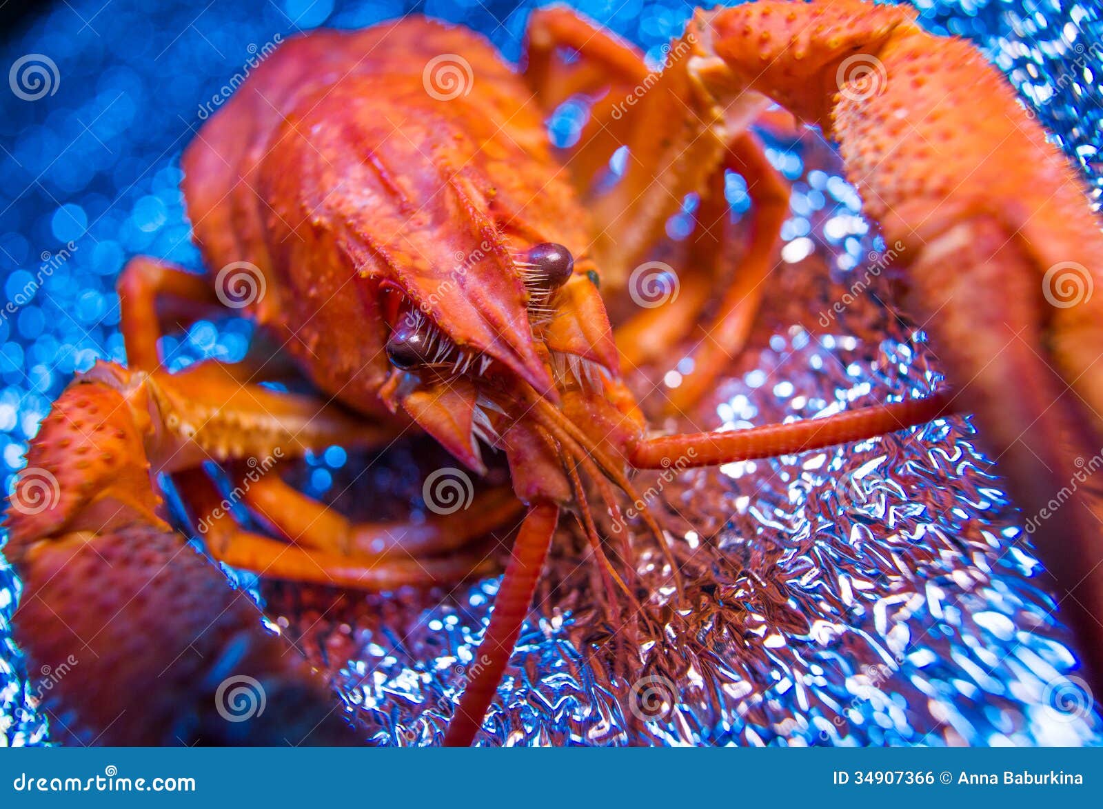 Fresh boiled crawfish stock photo. Image of background - 34907366