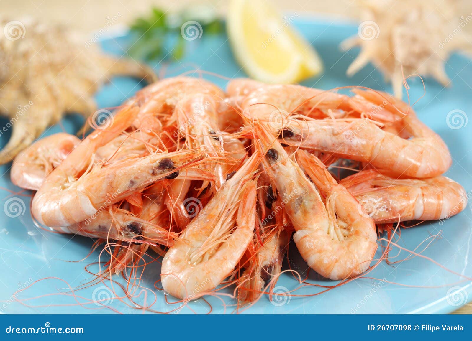Fresh boiled prawns stock photo. Image of krill, plate - 26707098