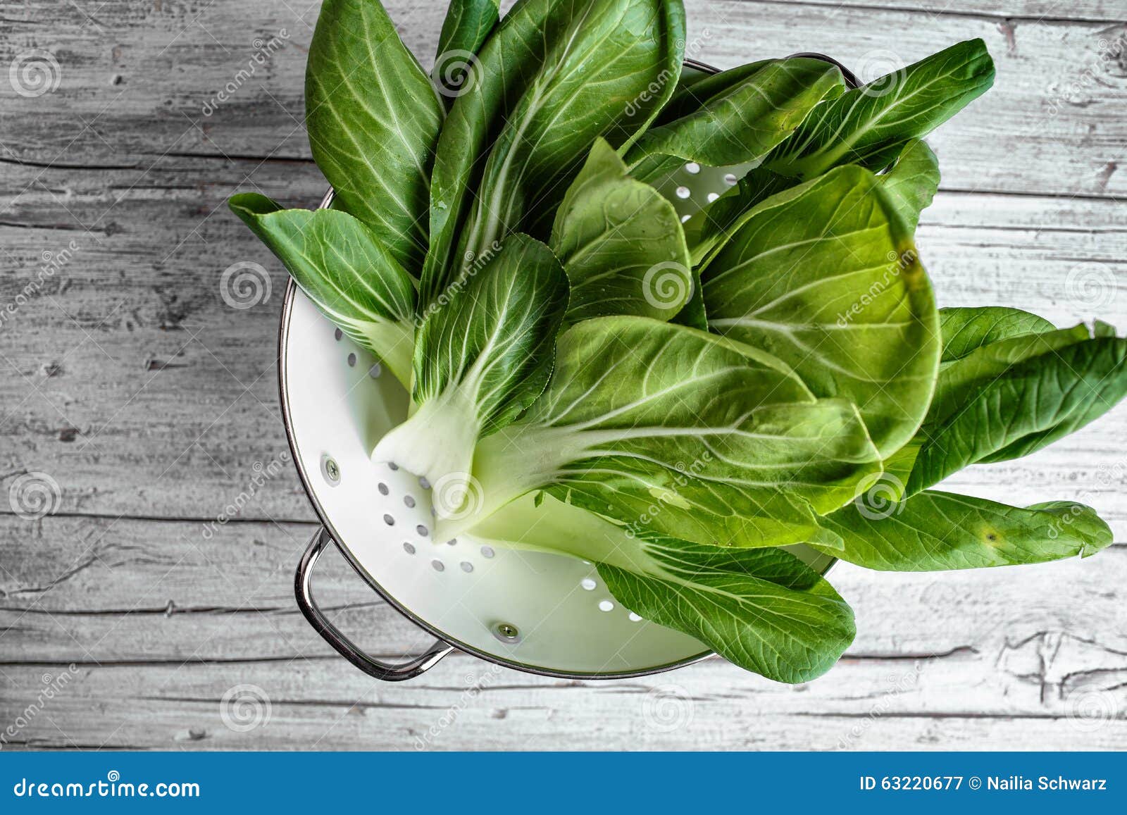 Fresh Bok Choy stock image. Image of food, washing, fresh - 63220677