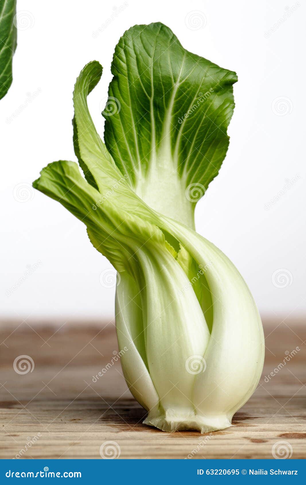 Fresh Bok Choy stock image. Image of studio, choy, leaf - 63220695