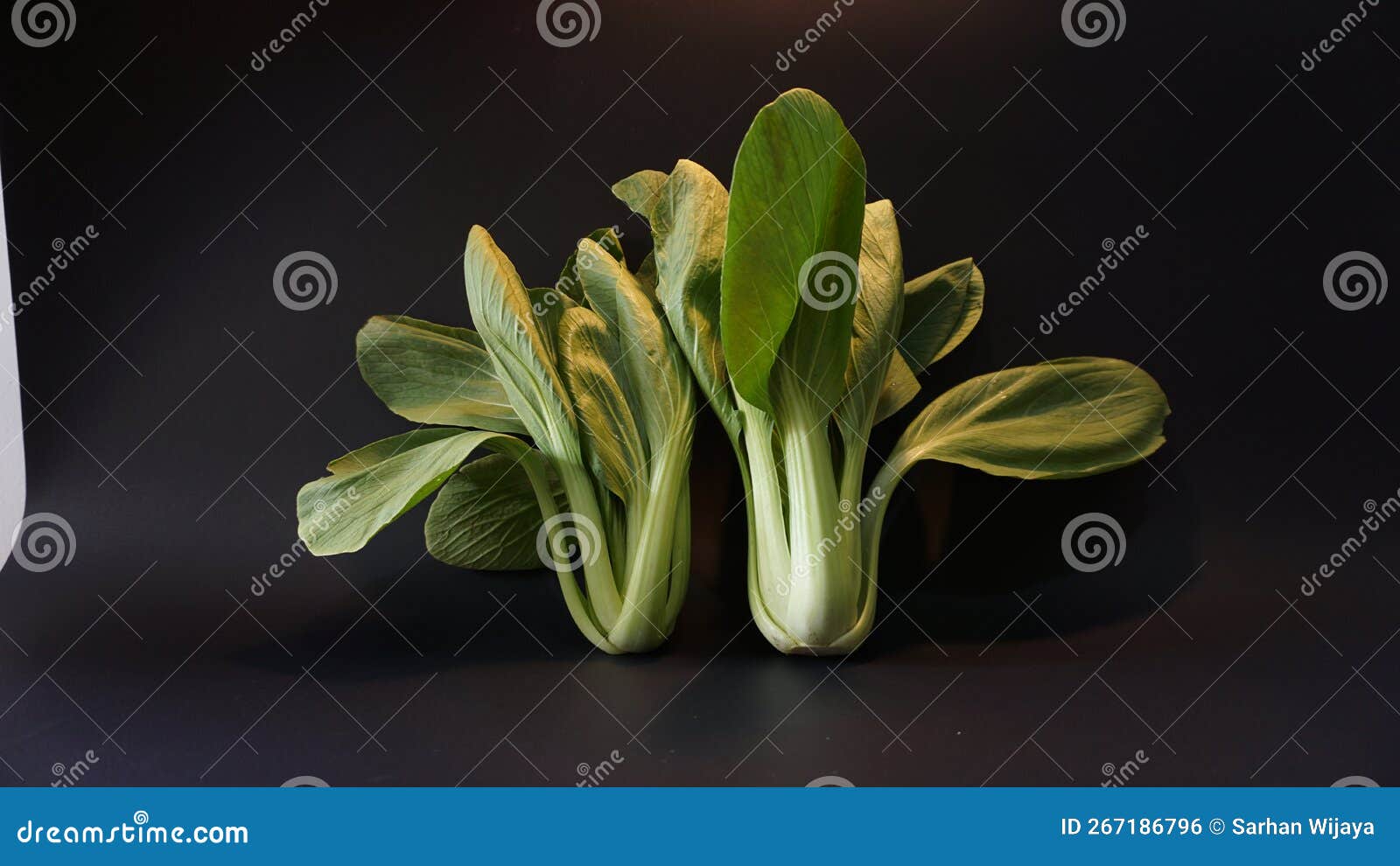 Fresh Bok Choy Vegetable on Black Background. Stock Photo - Image of ...