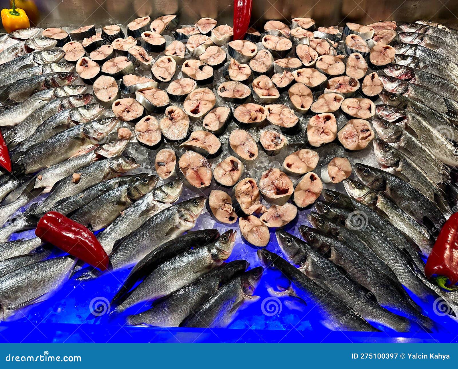 Fresh bonito fish stock image. Image of collection, isolated - 275100397